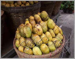 Blog Chik Att: JERUK MEMPELAM TELUR